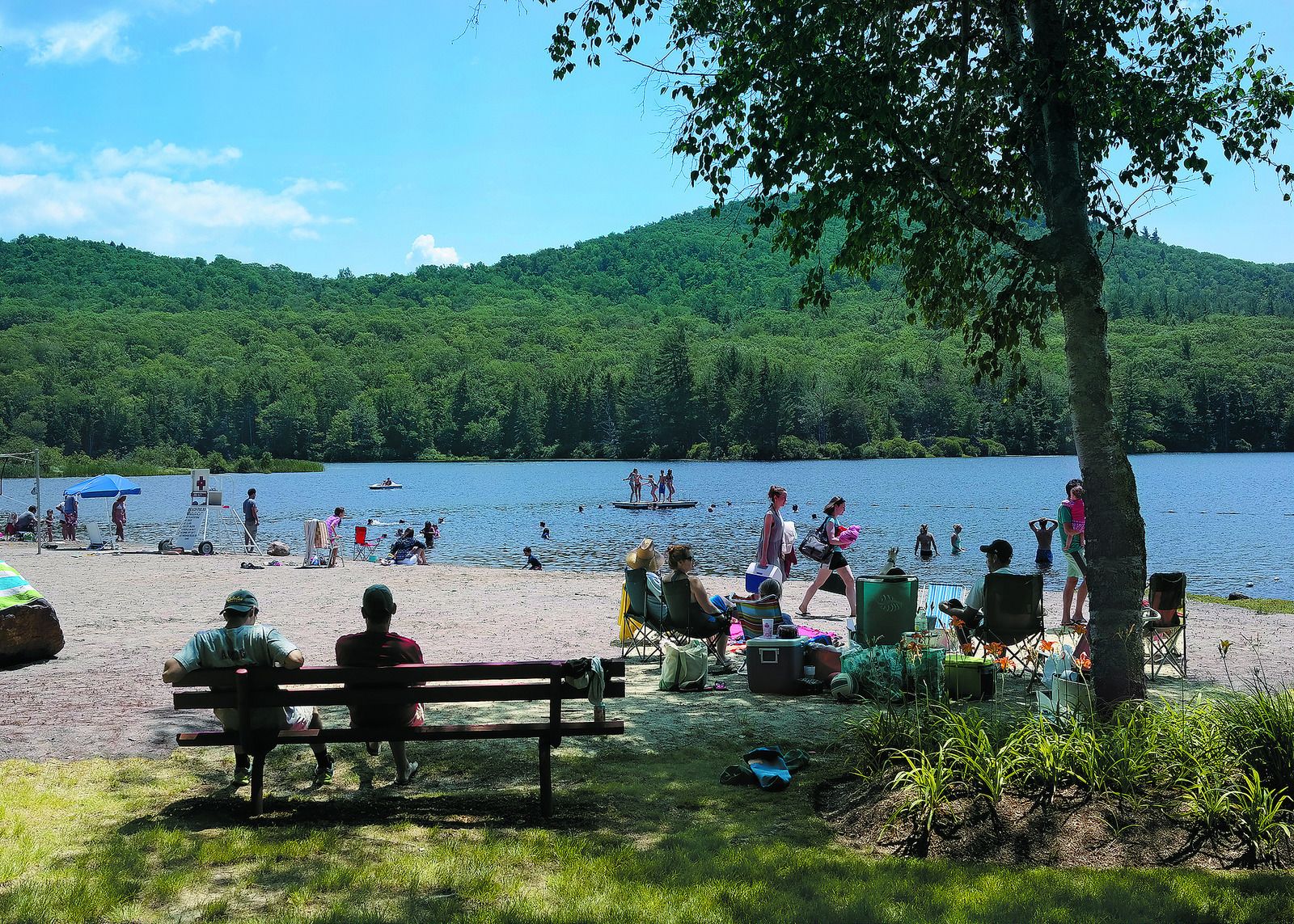 Greenfield Town, MA | Data USA